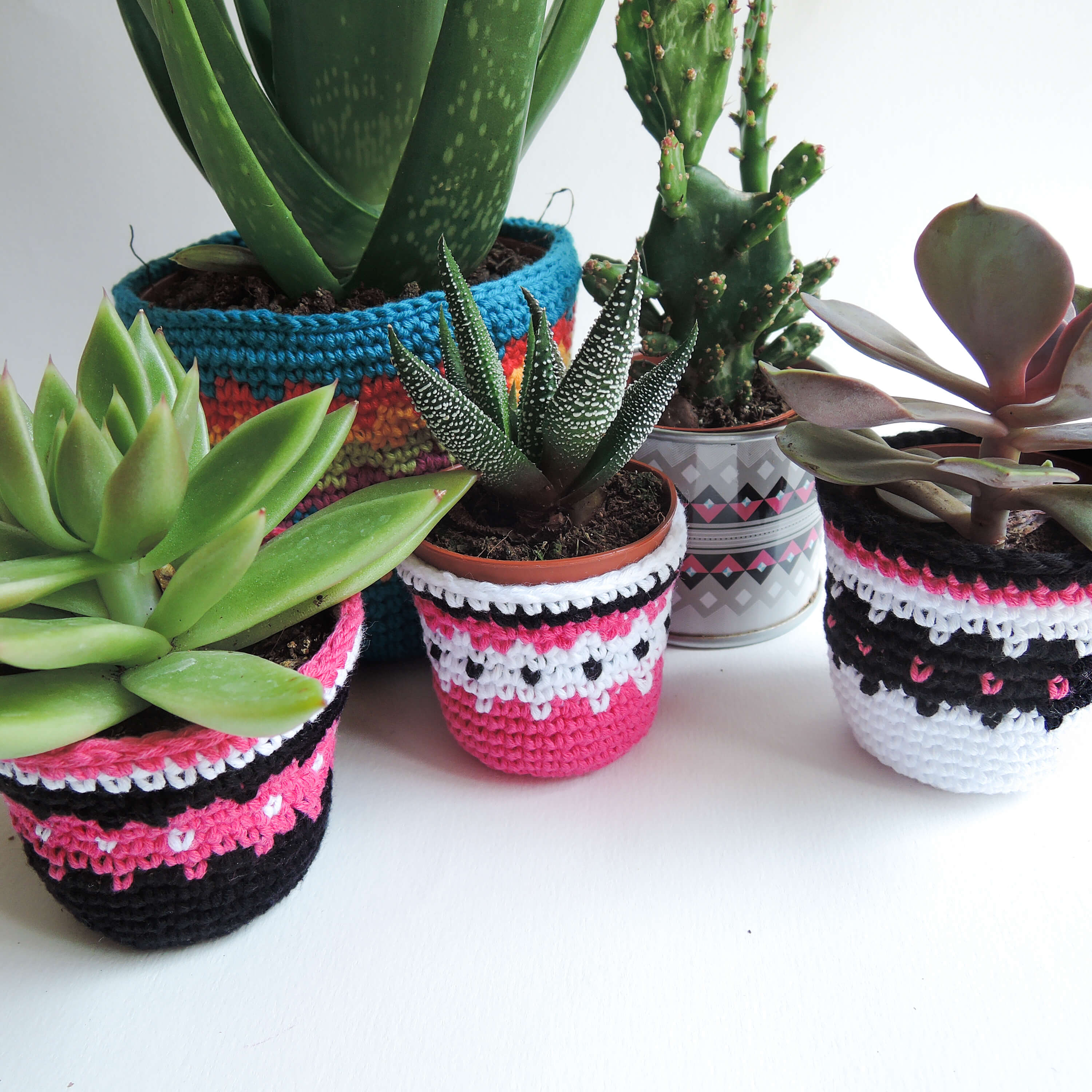Tuto cache-pot crocheté pour succulentes et mini plantes - Marketplaces ...